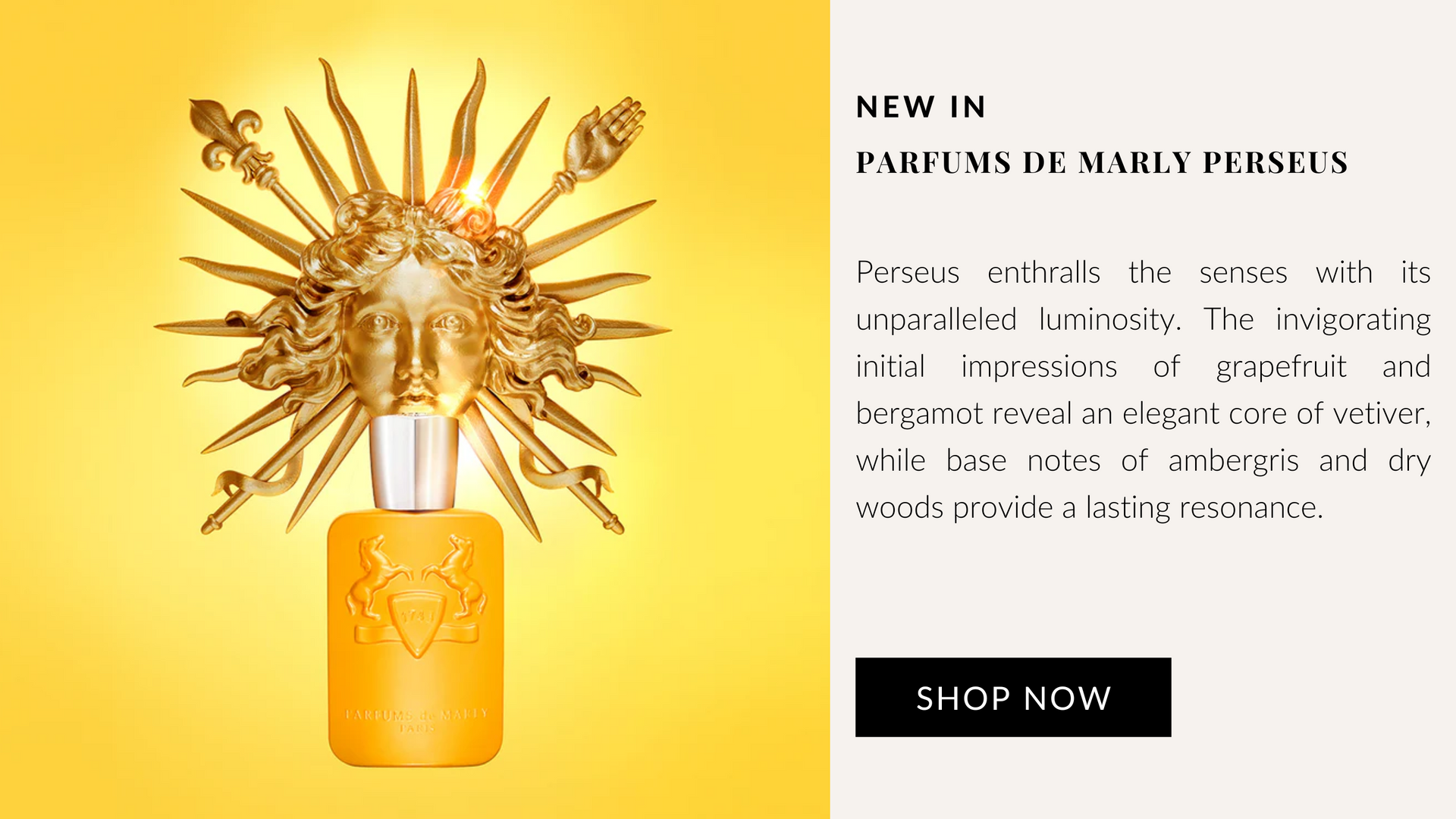Ascent Luxury Cosmetics -Discover the BEST Fragrance, Skincare, Makeup
