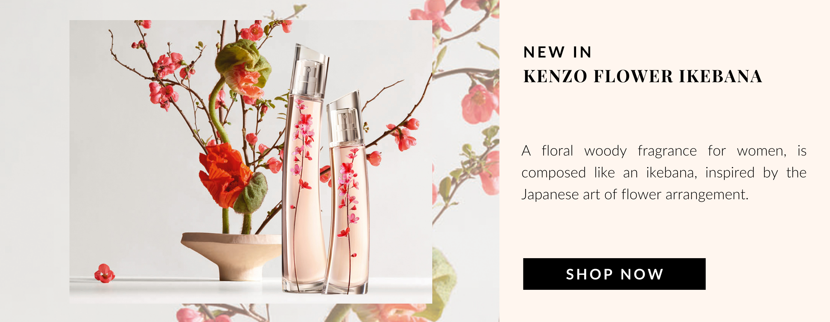 Ascent Luxury Cosmetics -Discover the BEST Fragrance, Skincare, Makeup