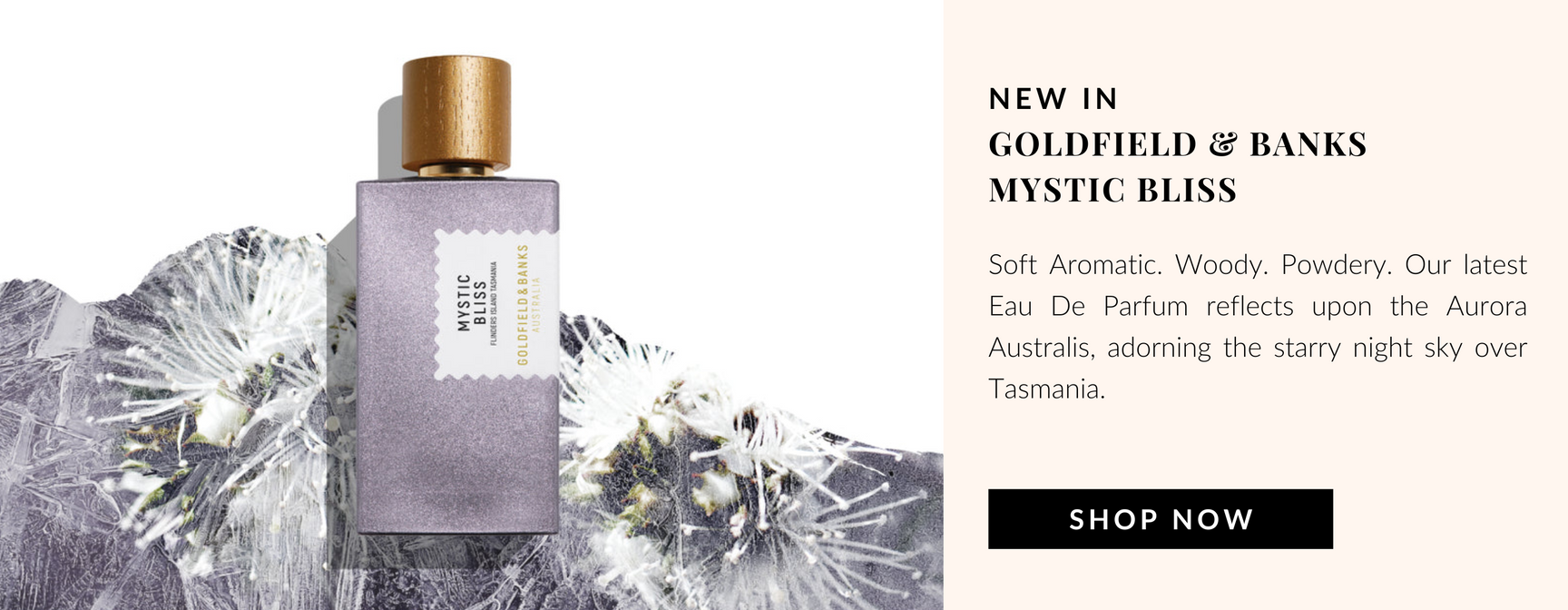 Ascent Luxury Cosmetics -Discover the BEST Fragrance, Skincare, Makeup